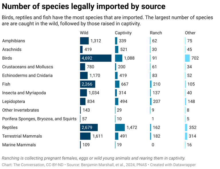 Global wildlife trade is an enormous market – the US imports billions ...