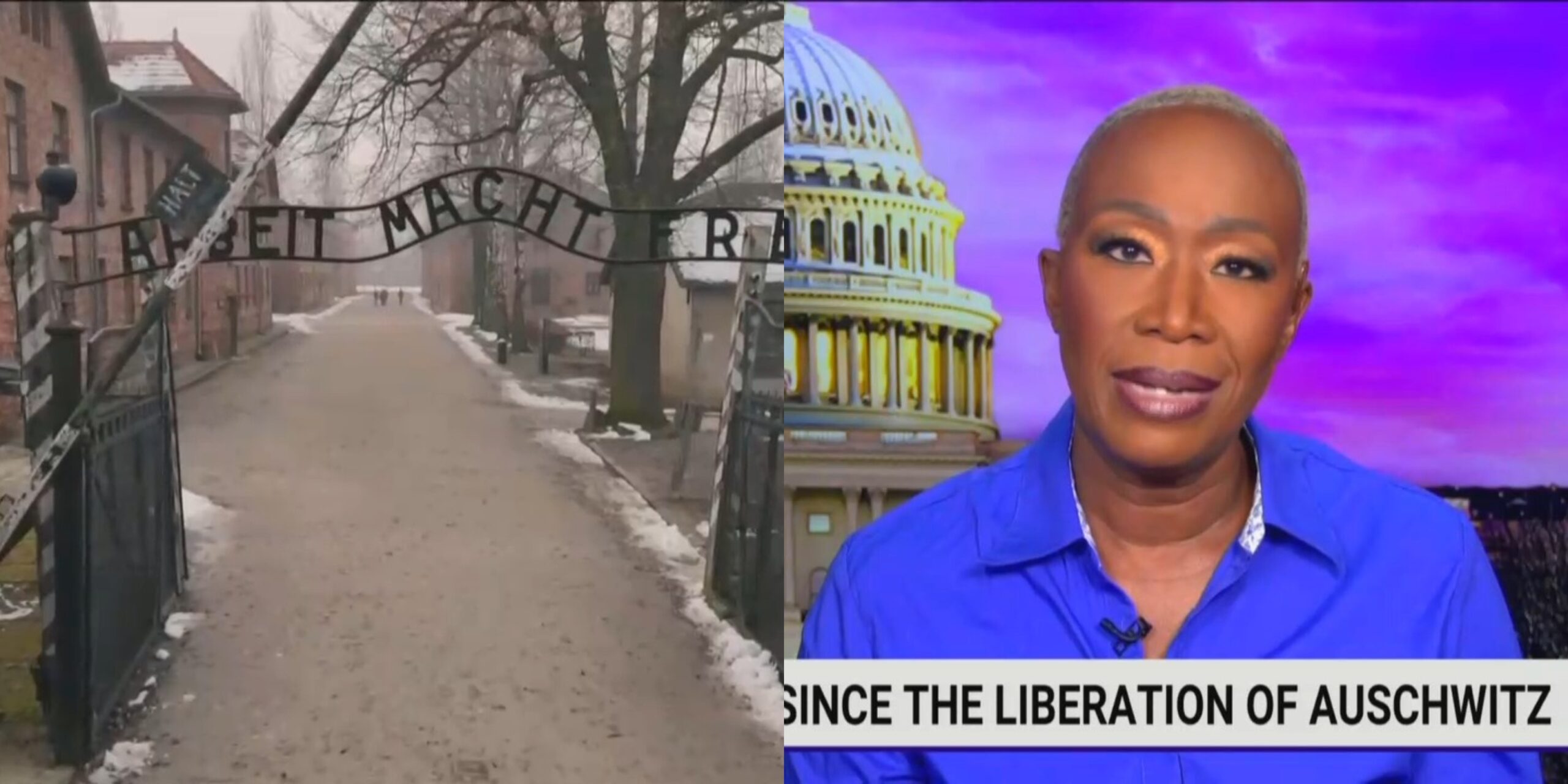 Joy Reid Compares Trump To Hitler: ‘Similarities To What Happened In ...