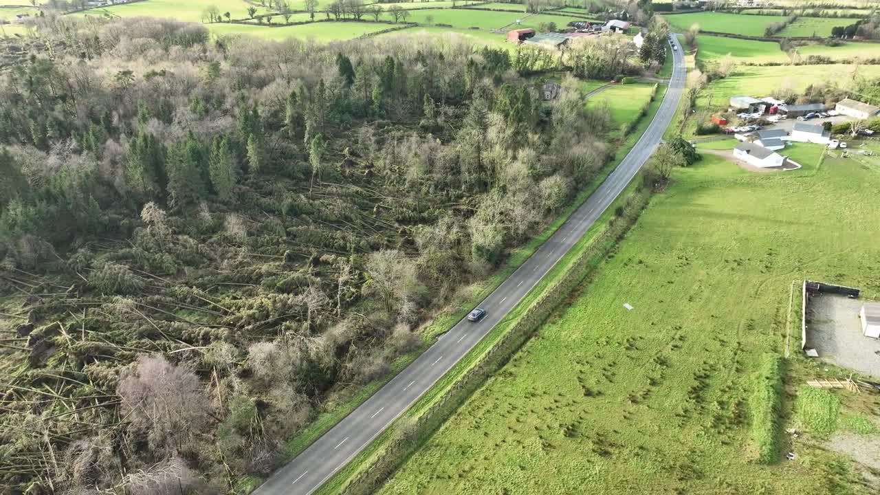 Drone footage reveals hundreds of uprooted trees in Northern Ireland ...