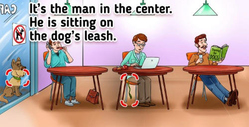 Puzzle to Test Your IQ: Are You Among the 1% Who Can Identify the Dog's ...