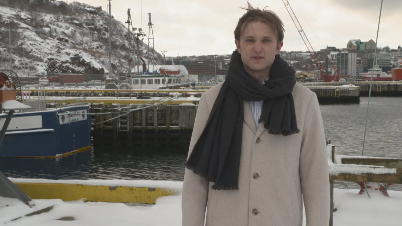 What’s a tariff, anyway? The CBC’s Darrell Roberts explores what a ...