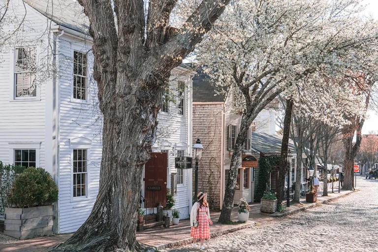 Why You Need To Experience The Iconic Nantucket Daffodil Festival This ...