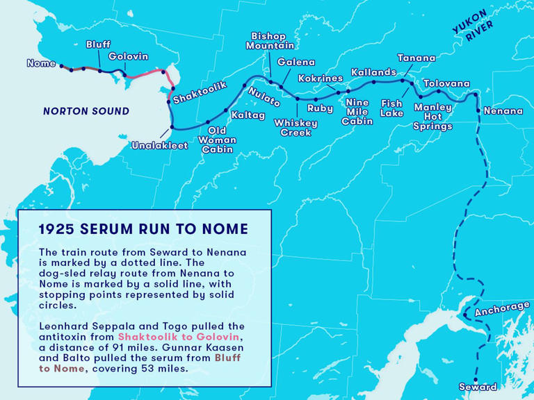 This Heroic Dog Raced Across the Frozen Alaskan Wilderness to Deliver ...