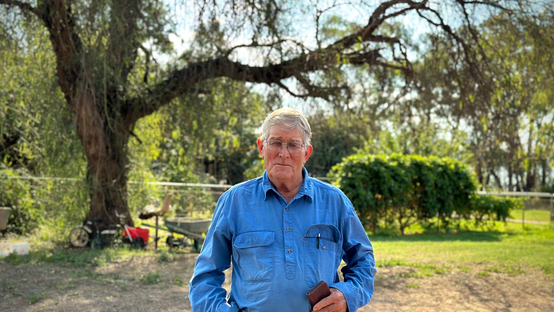 Fears chemical spray drift is affecting trees, but proving it is ...