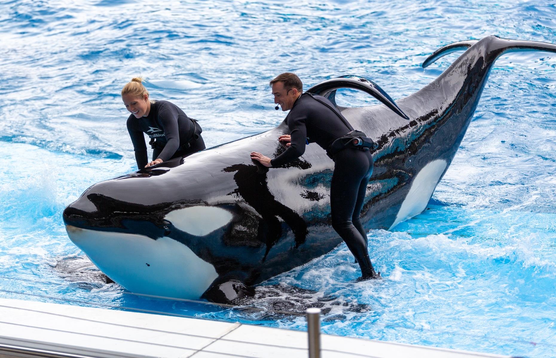 The 16 American spots tourists regret visiting