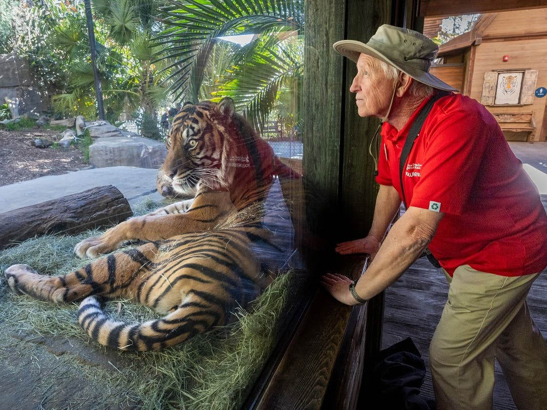 Seniors Get Free Admission To San Diego Zoo Safari Park In February Seniors Get Free Admission To San Diego Zoo Safari Park In February