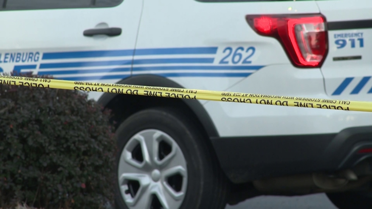 Armed robber holds 9 people at gunpoint in Charlotte, police report alleges