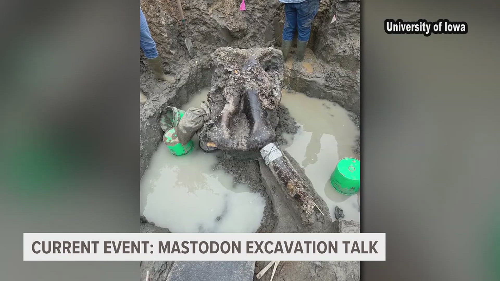 Archaeologist to share details of rare Mastodon discovery in Iowa