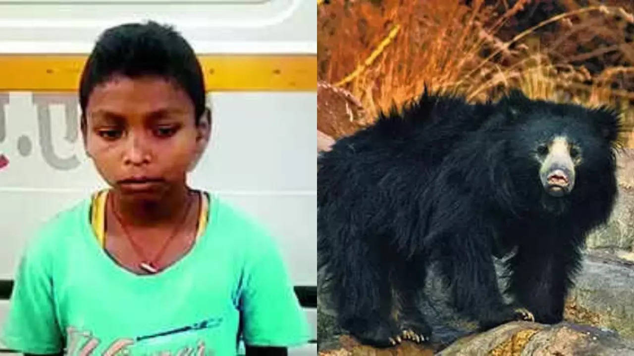 Boy, 10, fights off sloth bear with stick to save dad