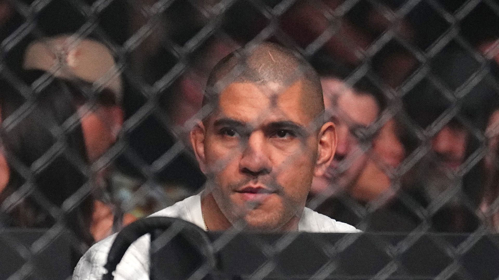 Alex Pereira expected to corner Sean Strickland for title fight against ... Alex Pereira expected to corner Sean Strickland for title fight against ...