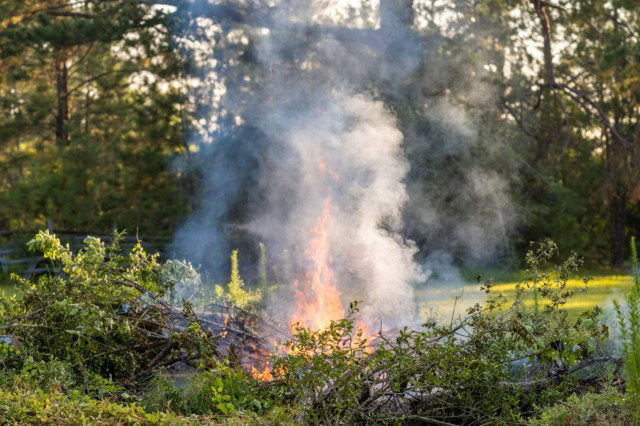 Homeowner seeks advice after neighbor's activities cause house to fill ... Homeowner seeks advice after neighbor's activities cause house to fill ...