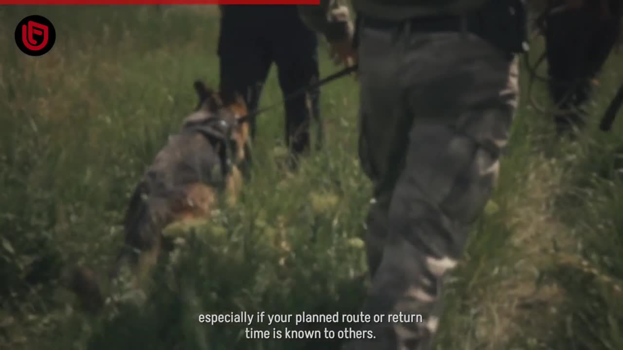 Top 10 Must-Know Facts for Everyday Life