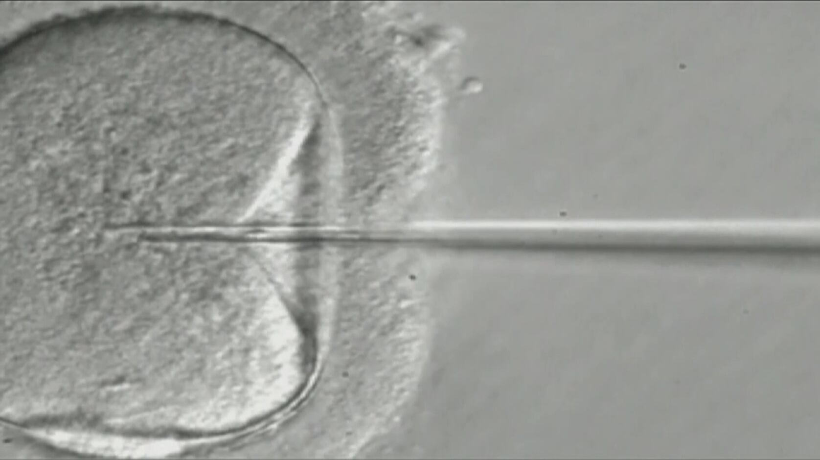 New bill causing concern over IVF New bill causing concern over IVF