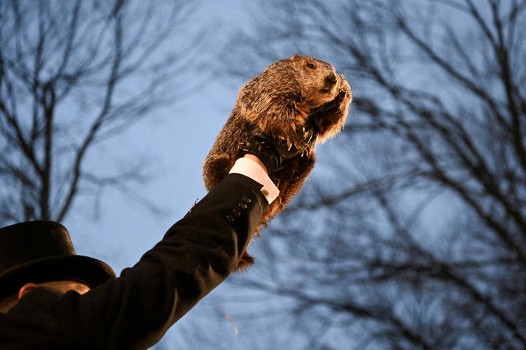 Get ready for Groundhog Day: What it means if he sees his shadow ...