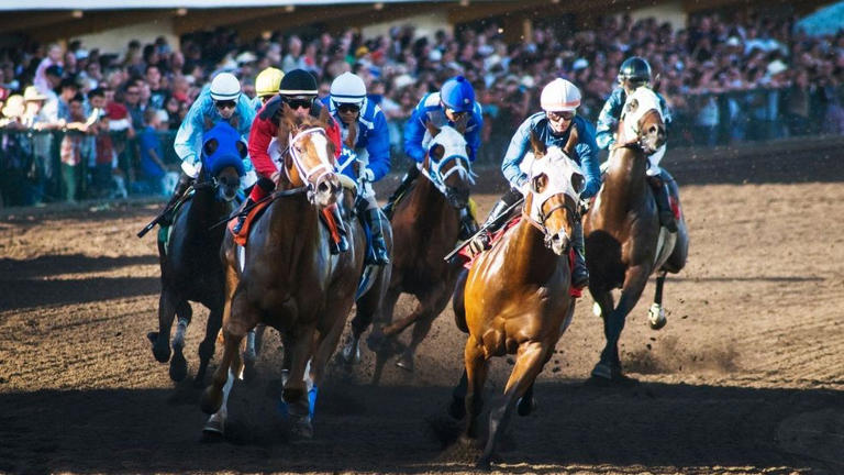 No horse racing at this year's Big Fresno Fair