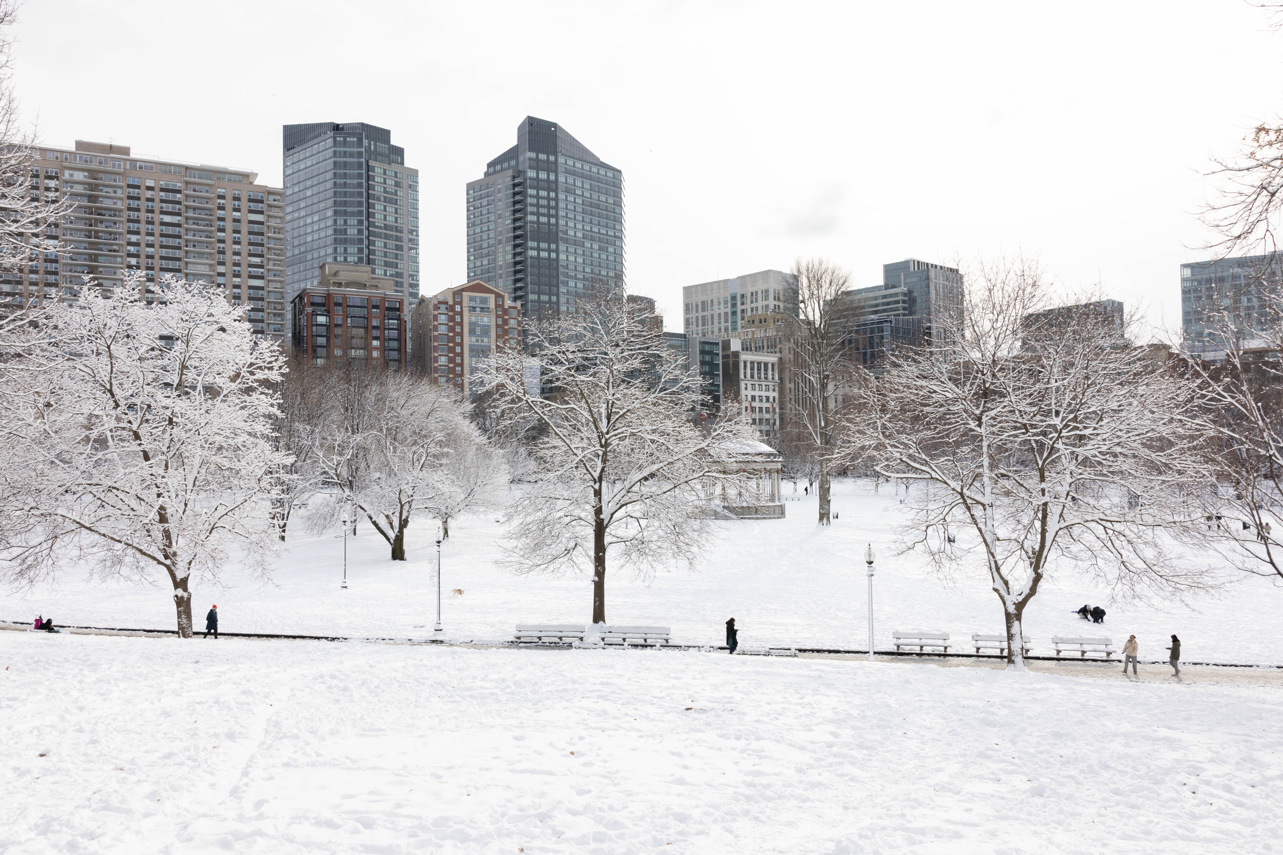 Boston Snow Squall: How Much Snow Is Expected?
