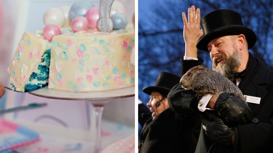 Being a Groundhog Is No Piece of Cake, Says PETA