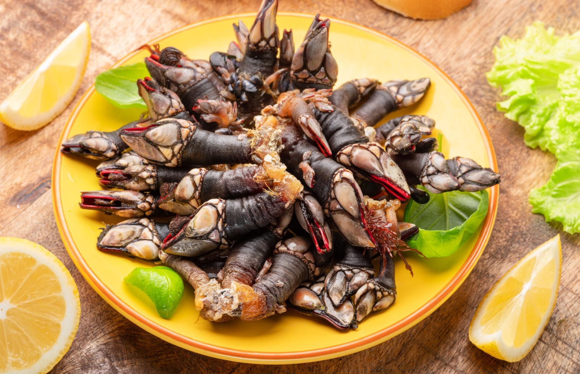 ¿Dónde está la más rara?: 31 comidas europeas EXTRAÑAS pero deliciosas ...