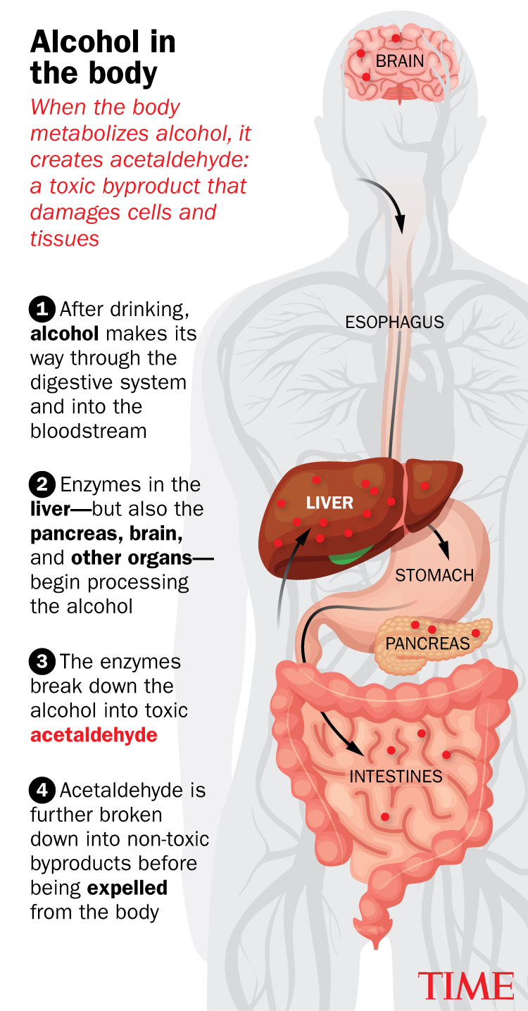 Why, Exactly, Is Alcohol So Bad for You?