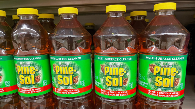 Make Your Own Homemade Pine-Sol Using Safe, Non-Toxic Ingredients