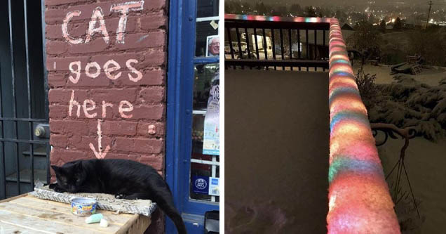 Almost Perfection: 18 Satisfying Images That Just Hit Right