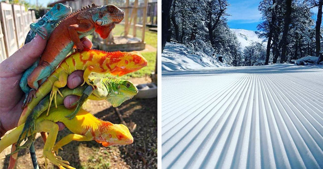 40 Photos That Are Darn Near Perfect