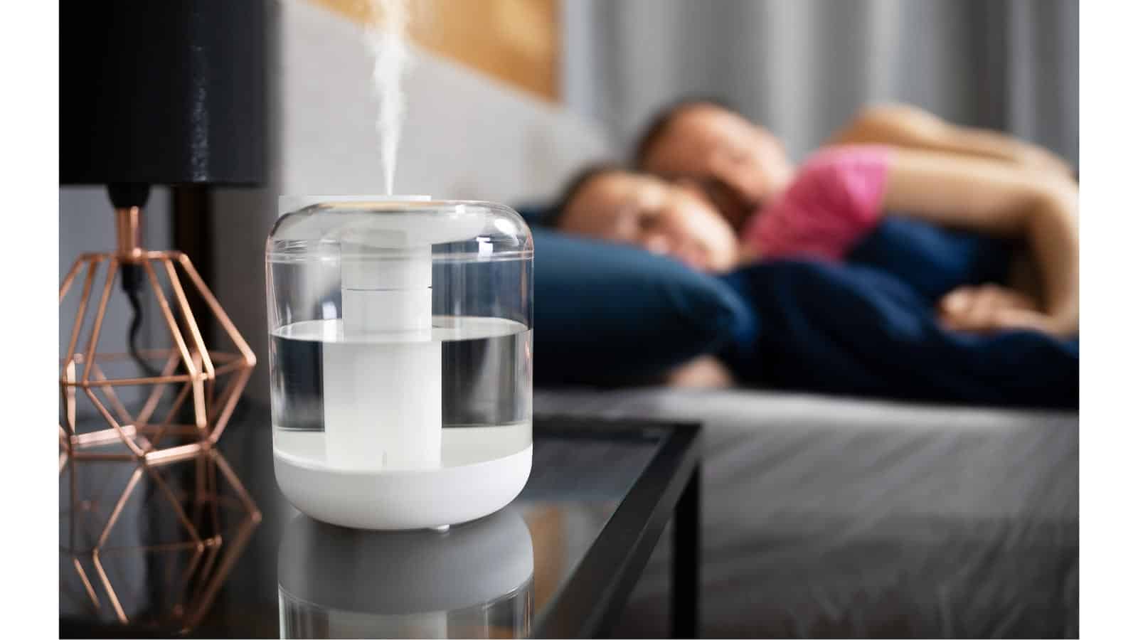 How A Humidifier Can Significantly Improve Your Life This Winter