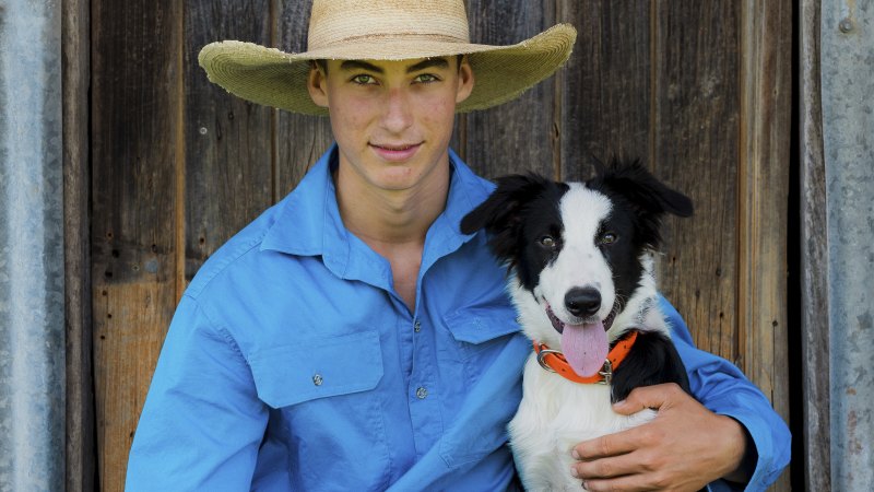 Why Muster Dogs’ new collies v kelpies contest is like Holden v Ford
