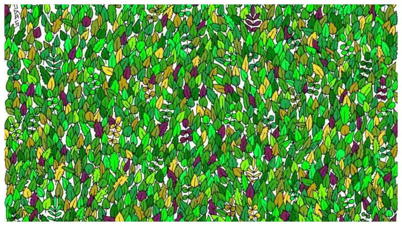 Optical illusion: Only those with sharp vision can spot the frog among ...