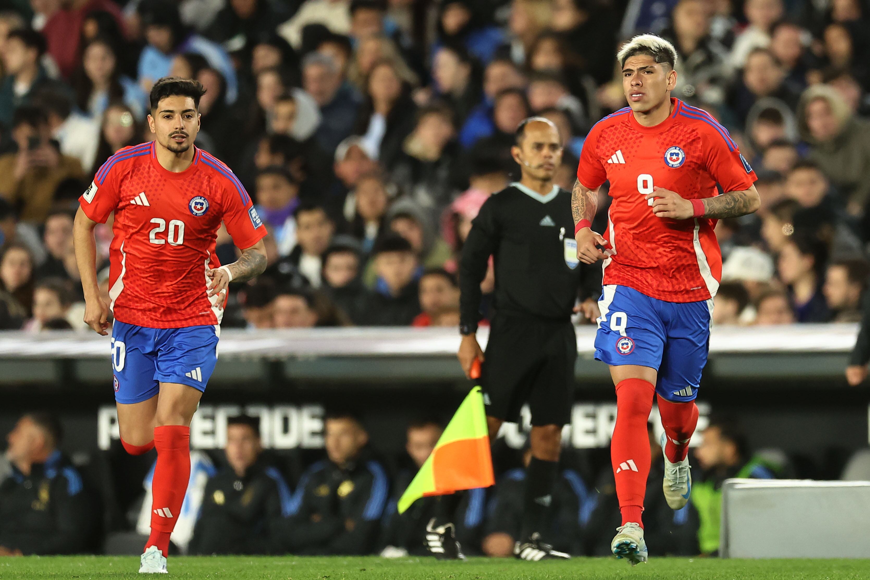 Hotmail, Outlook, coronavirus (COVID-19) y las últimas noticias - MSN Chile