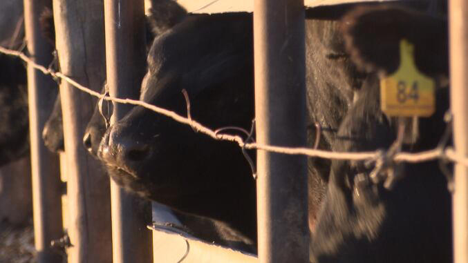 Immigrants, sponsors, businesses worry how Trump’s immigration orders ...