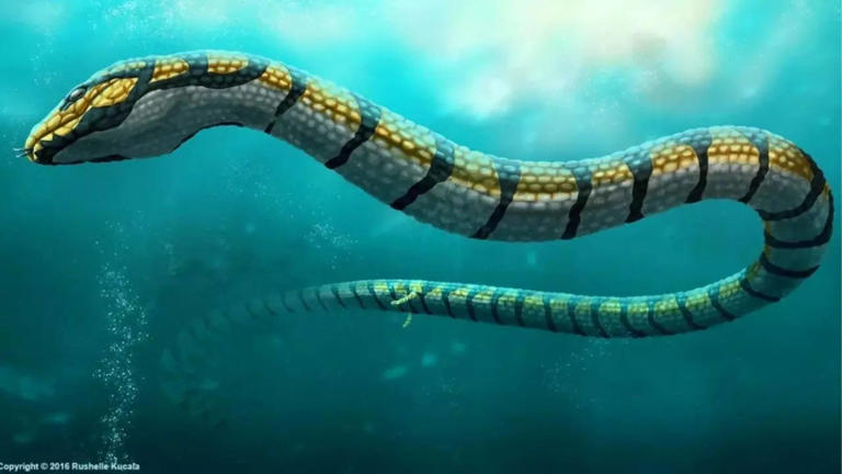 10 deadly prehistoric snakes from ocean predators to dinosaur hunters