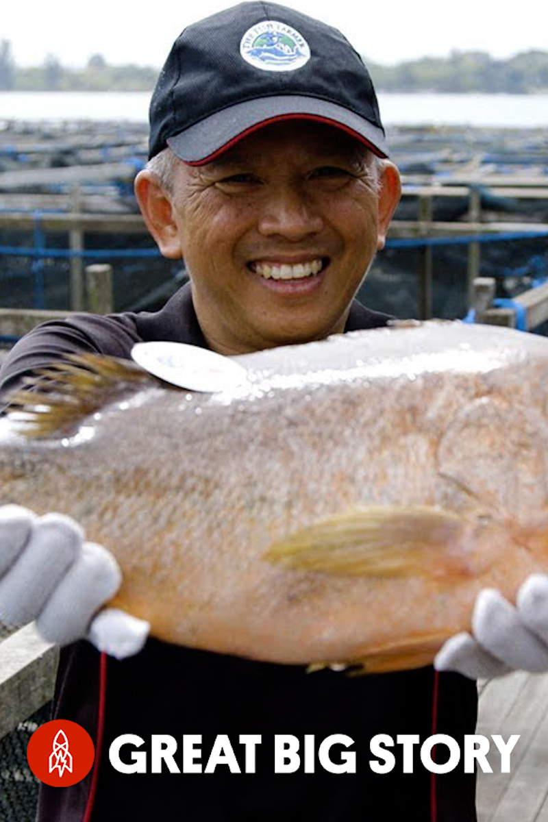 De l'informatique à la pisciculture, la passion de Malcolm Ong pour la mer