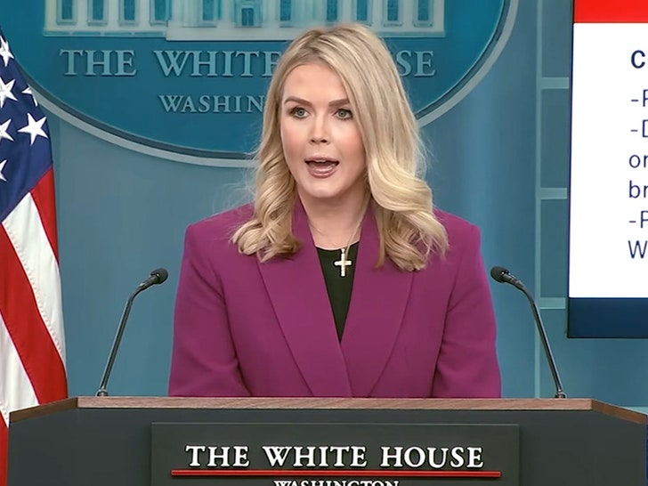 Trump White House Reveals Truth About 'Mystery Drones' Over Northeast