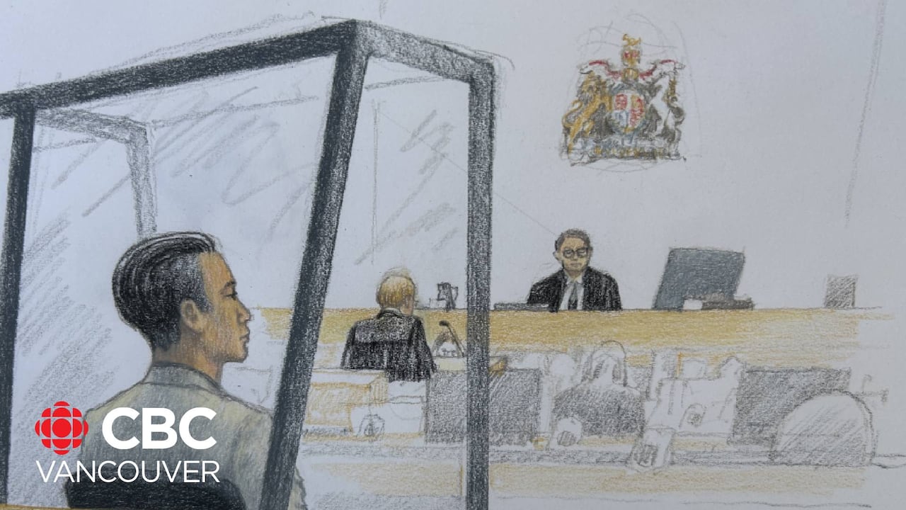 Hitman sentenced to life in prison for B.C. murder of former Air India ...