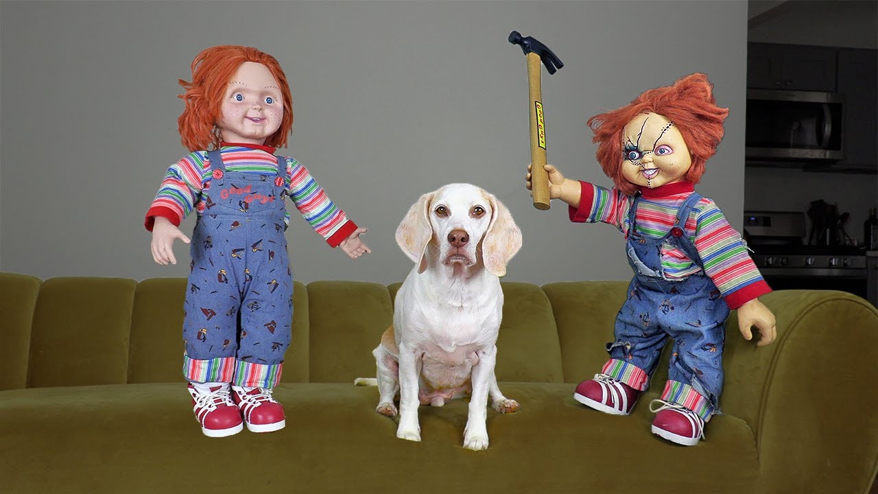 Good Chucky vs Bad Chucky! Funny Maymo’s Battle