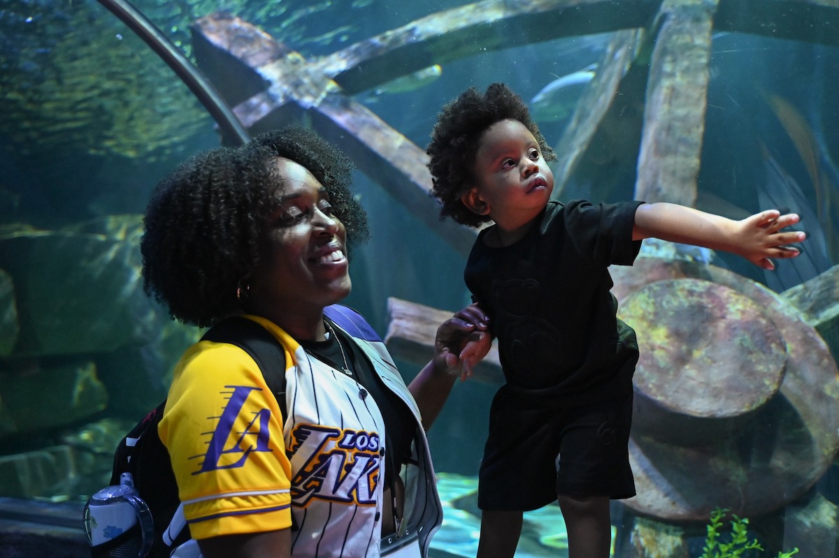 Sea Life homeschool days – $12 admission!
