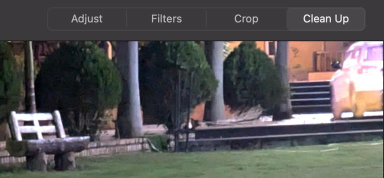 How to Remove Distractions From Photos on Your Mac Using the Clean Up Tool