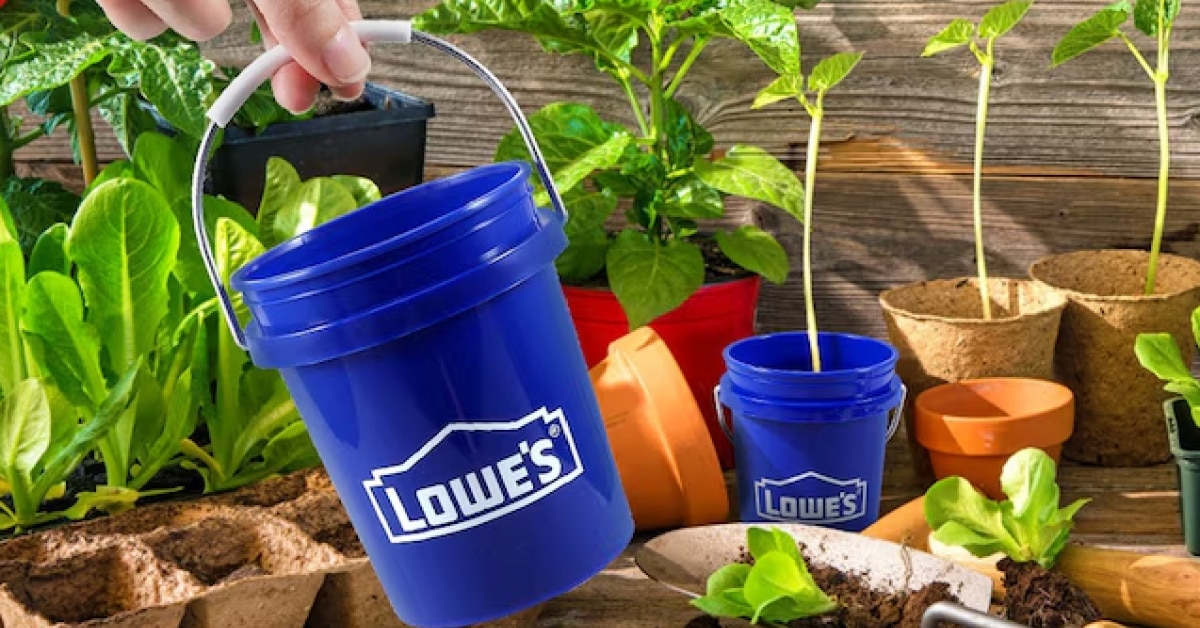 Lowe's is Giving Away Free Mini Buckets