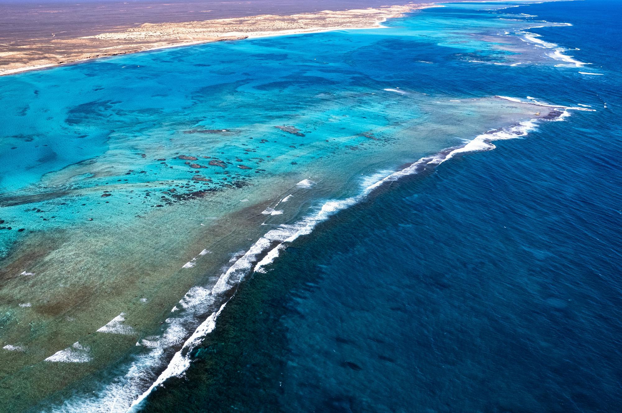 A marine heatwave in northwest Australia is killing huge numbers of ...