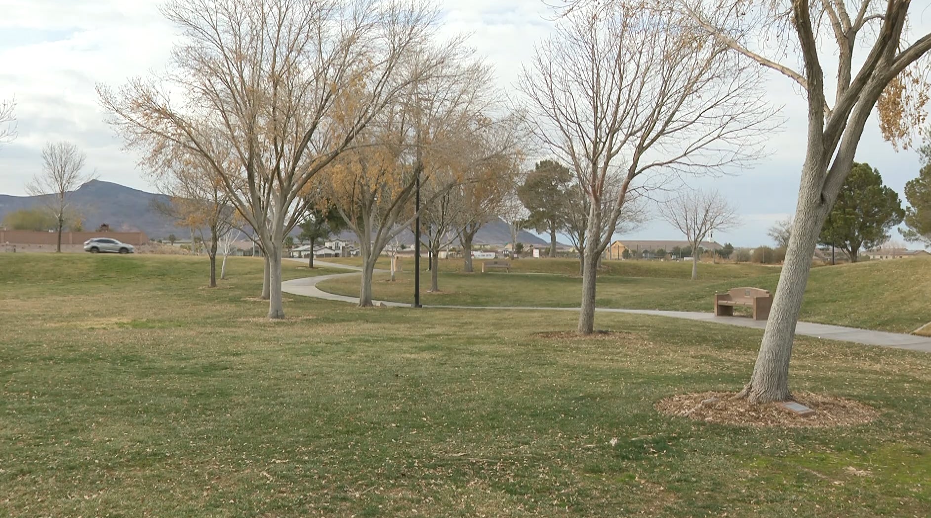 Race to remove non-functional grass across Southern Nevada