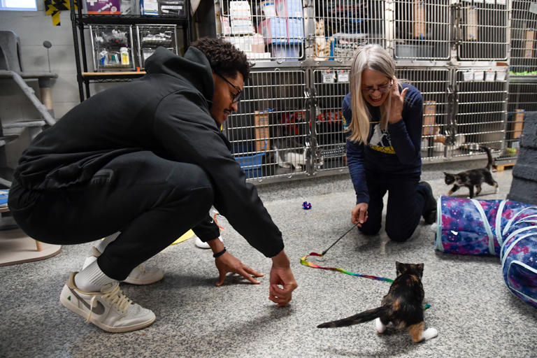 Jordan Poole might be the NBA’s biggest cat guy. Fur real.