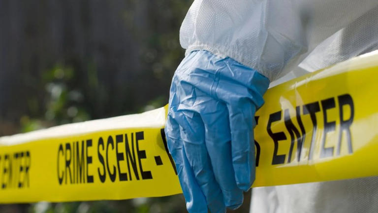 Four killed, including teen, in alleged gang-related Delft shooting