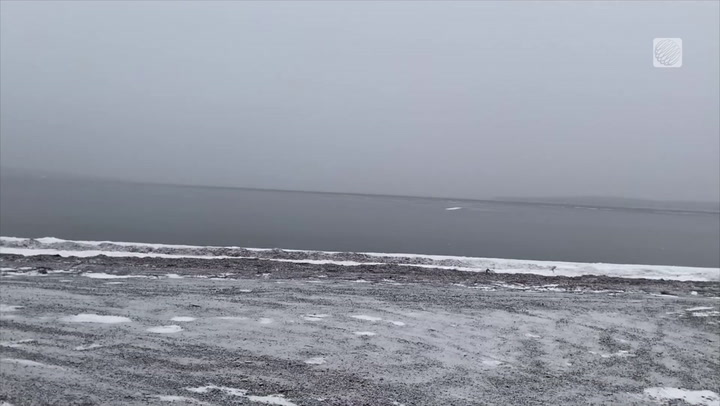 Flurries fall along the Overcast Shoreline of Birchy Bay, Newfoundland ...