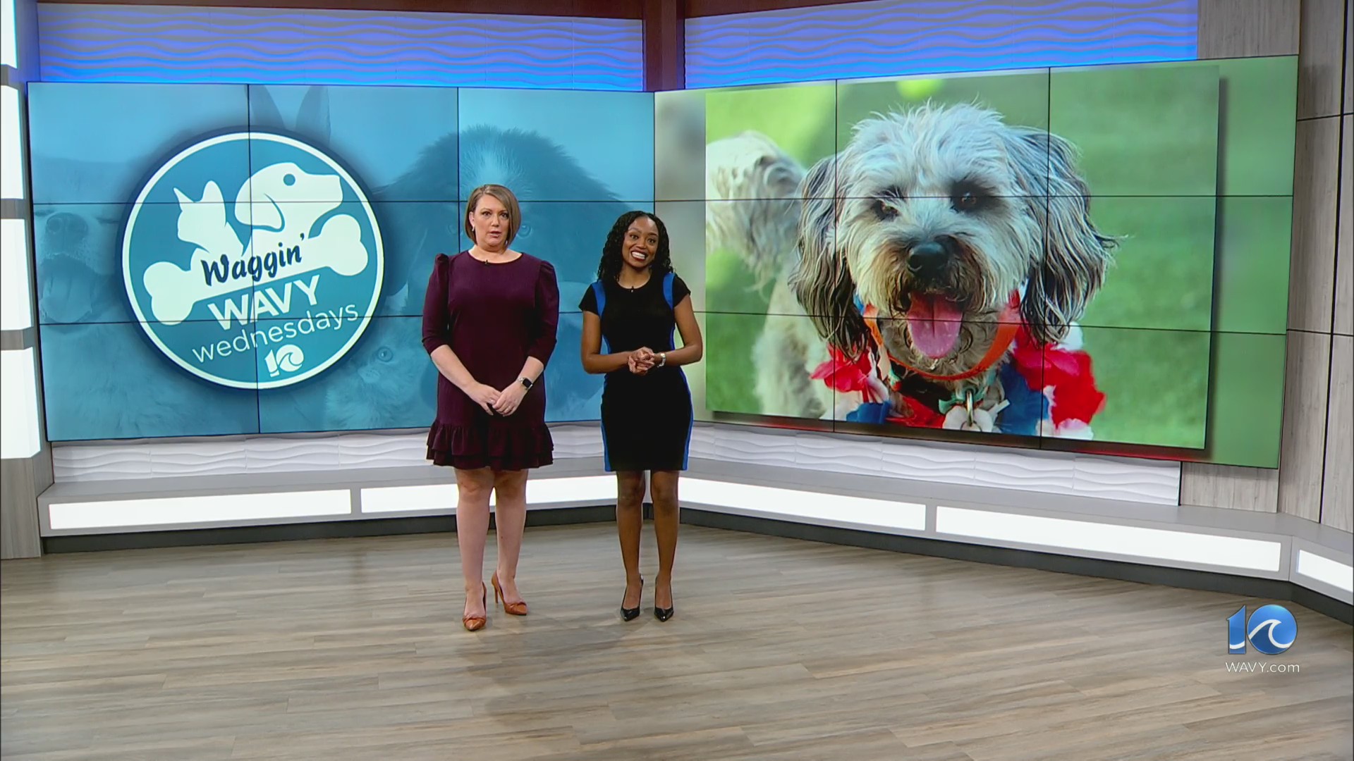 Waggin WAVY Wednesday Contest winner | Week of Jan. 26 - Feb. 1