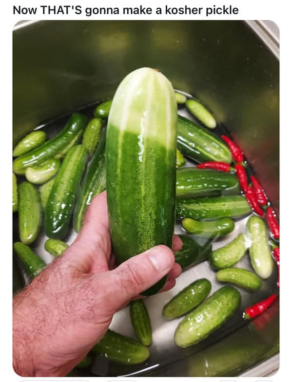 40 Funny Pictures To Get You Through The Midweek Slump (January 29, 2025)