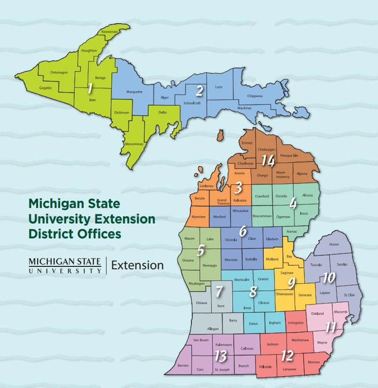 MSU Extension employees plan union vote in February. What we know