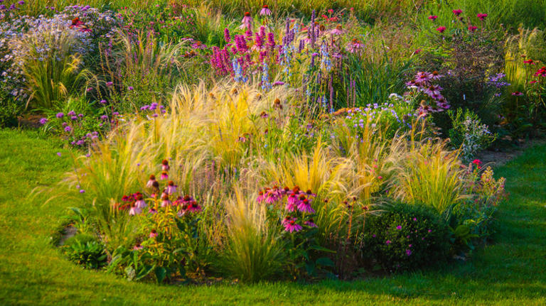 All Of The Advantages To Growing Ornamental Grasses In Your Yard And Garden