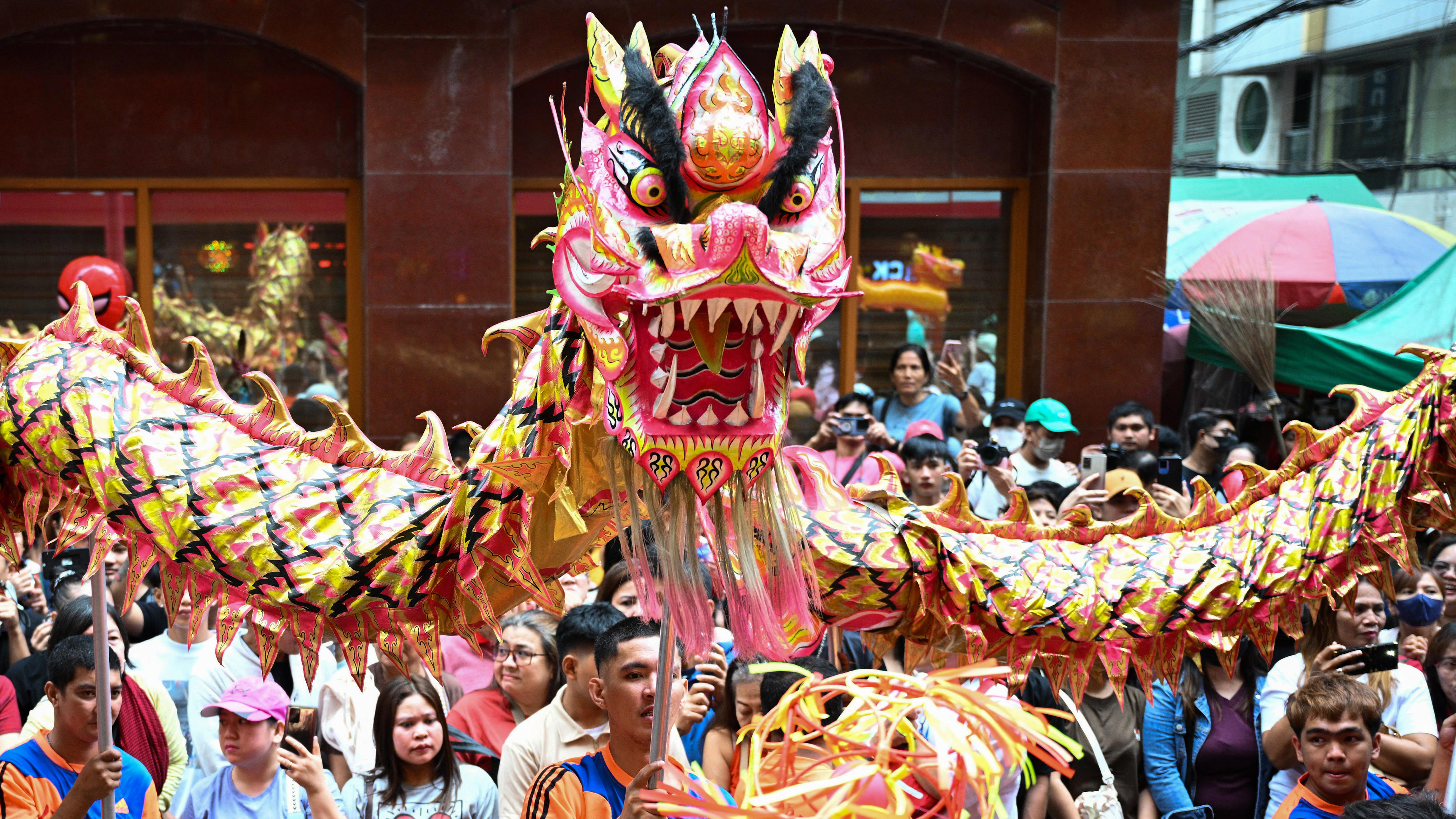 When is the Chinese New Year? In 2026, it's the Year of the Horse.