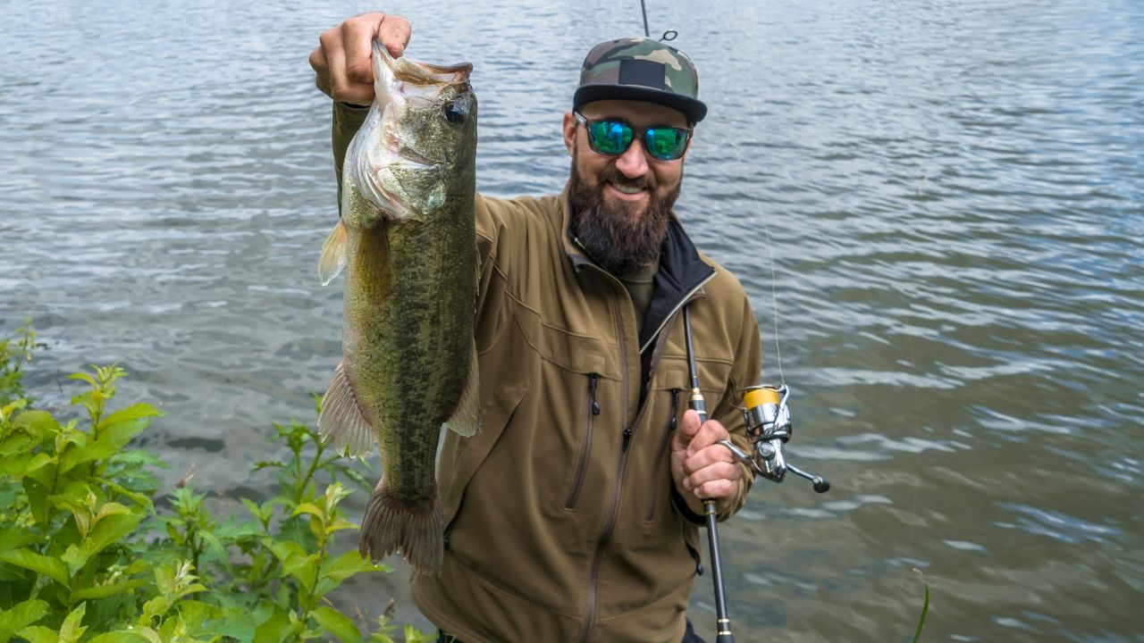 8 Must-Have Lures That Catch Fish Anywhere